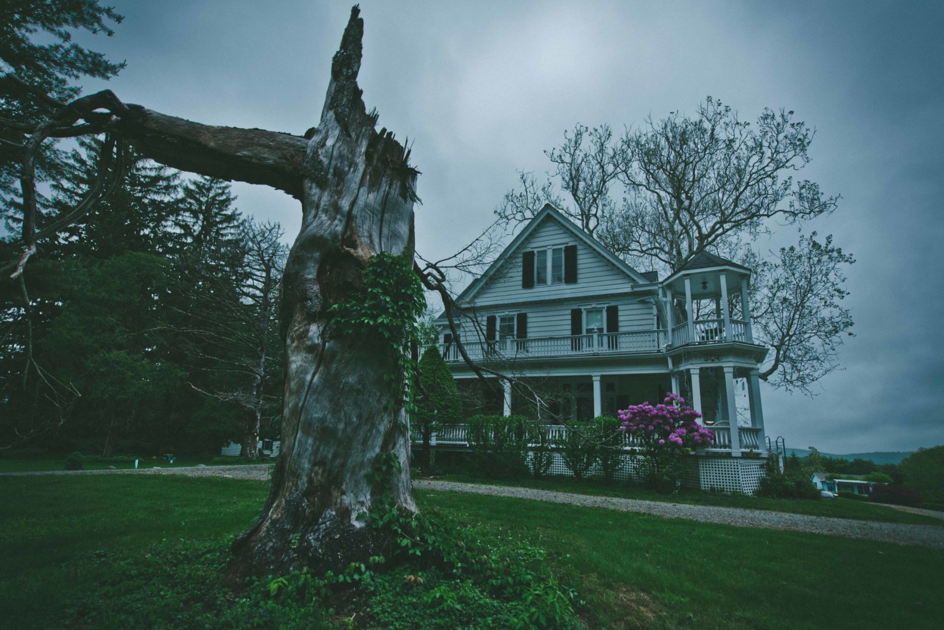 Lineage - LDR Creative LLC