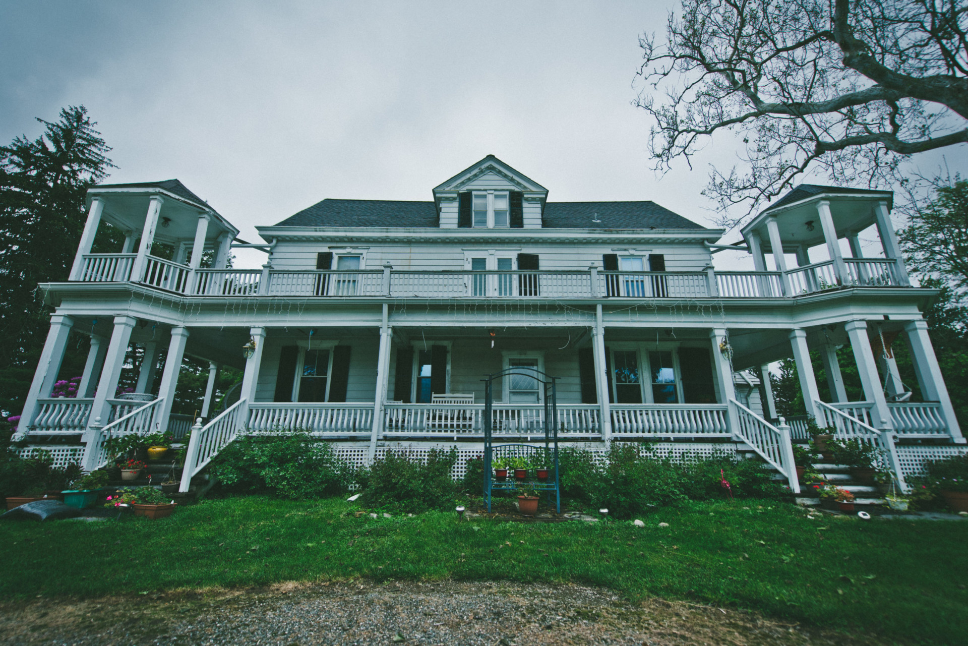 Lineage - LDR Creative LLC